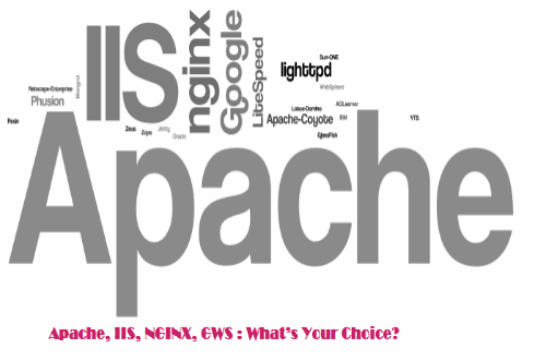 Apache, IIS, NGINX, GWS : What’s Your Choice?