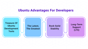 What is Ubuntu? A Detailed Beginner’s Guide [2025]