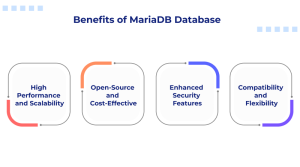 What is MariaDB? A Beginner's Guide for 2025